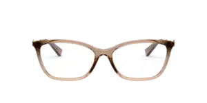 COACH Butterfly Eyeglasses - Transparent Brown