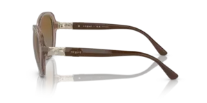 VOGUE Butterfly Sunglasses