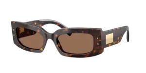 Dolce & Gabbana Dolce&Gabbana DG4479 Sunglasses Havana