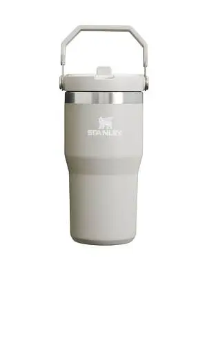 STANLEY The Iceflow Flip Straw Tumbler 20 Oz In Grey - Ash