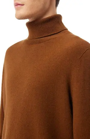 Gobi Cashmere Cashmere Turtleneck Sweater - Chipmunk