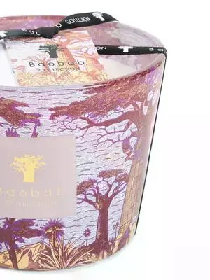 BAOBAB COLLECTION Sacred Trees Scented Candle