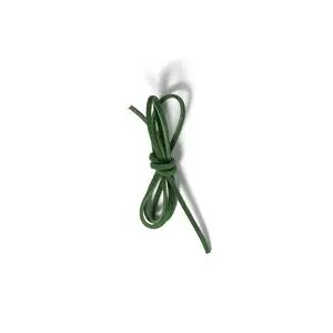 Miu Miu Leather Laces - Green