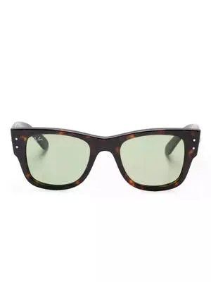 Ray-ban Sunglasses