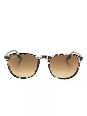 Ray-ban Ray-Ban Sunglasses Brown