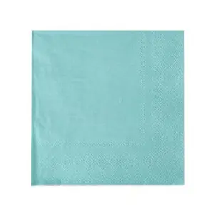 JOLLITY & CO Solid Color Large Napkins Seafoam