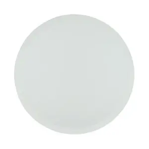 JOLLITY & CO Solid Color Dinner Plates Frost
