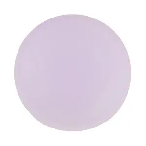 JOLLITY & CO Solid Color Dinner Plates Lavender