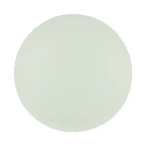 JOLLITY & CO Solid Color Dinner Plates Pistachio