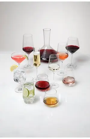 SCHOTT ZWIESEL Pure Set Of 4 Water Glasses