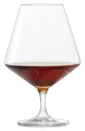 SCHOTT ZWIESEL Pure Set Of 6 Cognac Glasses