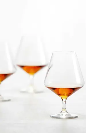 SCHOTT ZWIESEL Pure Set Of 6 Cognac Glasses