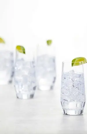 SCHOTT ZWIESEL Pure Set Of 6 Cocktail Tumblers