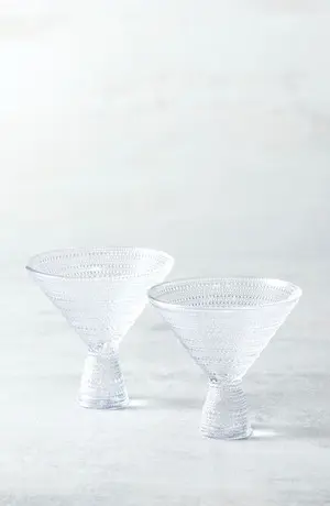 FORTESSA Jupiter Set Of 2 Martini Glasses