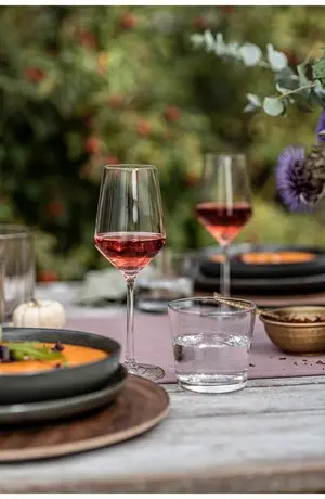 SCHOTT ZWIESEL Pure Riesling Set Of 6 Wine Glasses