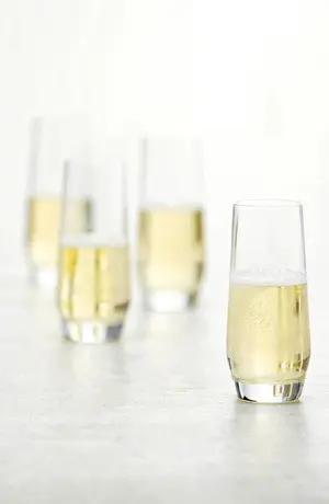SCHOTT ZWIESEL Pure Set Of 6 Stemless Champagne Glasses