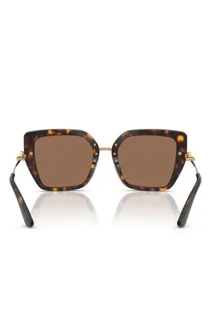 Dolce & Gabbana Butterfly Sunglasses - Havana