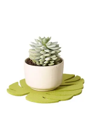 GRAF LANTZ Merino Wool Monstera Trivet - Pistachio
