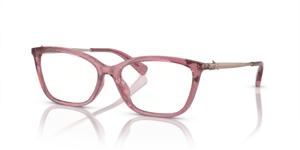 COACH Hc6146u Eyeglasses - Transparent Berry