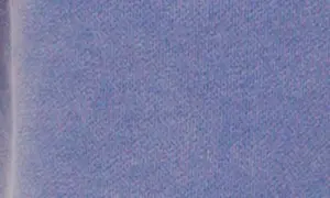 PURPLE BRAND Raw Hem French Terry Shorts