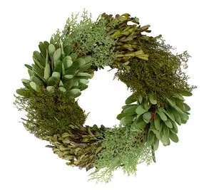 NORTHLIGHT Cedar Succulent And Day Grass Sprin Wreath - One-color