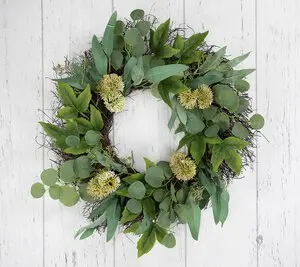 NORTHLIGHT Eucalyptus And Olive Leaf Twig Sprin Wreath
