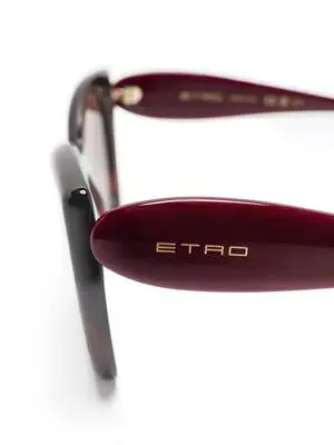 Etro Butterfly-frame Sunglasses - Brown