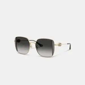 COACH Horse And Carriage Oversized Square Sunglasses - Gold/grey
