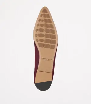 Bottega Veneta Sofia Ballet Flats