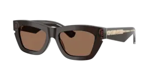 Burberry Burberry Sunglasses
