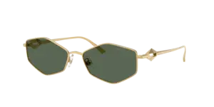 JIMMY CHOO Jimmy Choo JC4017 Sunglasses Dark Green