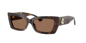 JIMMY CHOO Jimmy Choo Sunglasses Dark Brown