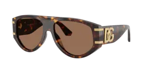 Dolce & Gabbana Dolce&Gabbana Sunglasses Dark Brown