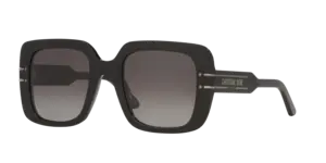 Dior Signature S11i Sunglasses - Grey