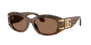 Dolce & Gabbana Full Rim Sunglasses - Dark Brown