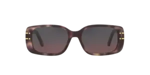 Dior Cd40176i Sunglasses - Grey Gradient