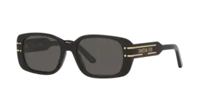 Dior DIOR CD40176I Sunglasses Grey