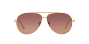 Dior Diorcannage Sunglasses