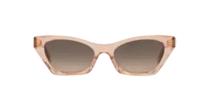 Dior Sunglasses - Grey Gradient