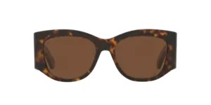 Dior Sunglasses - Brown Gradient
