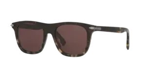 Dior Tortoise Sunglasses - Brown