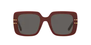 Dior Cd40171i Sunglasses