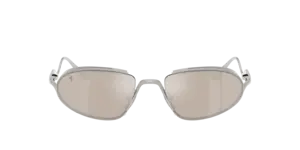 FERRARI Fh1022t Sunglasses - Grey
