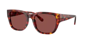 DIESEL Sunglasses - Dark Violet,red