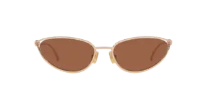 Bottega Veneta Bv1330s Sunglasses - Brown