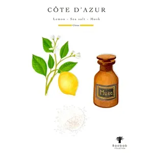 BAOBAB COLLECTION Cote D'azur Max 35 Candle