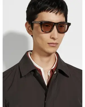 Zegna 49mm Acetate Sunglasses - Havana Brown