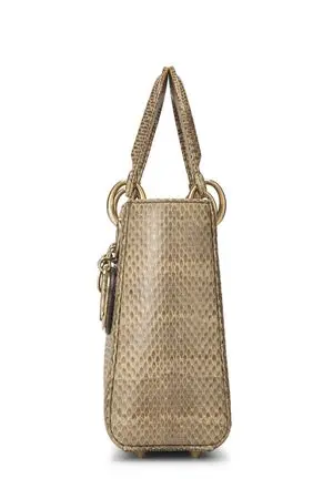 Dior Python Lady - Brown