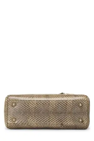 Dior Python Lady - Brown