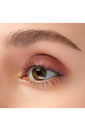 Anna Sui Shiny Eye Color - Cute Cherry Brown 500